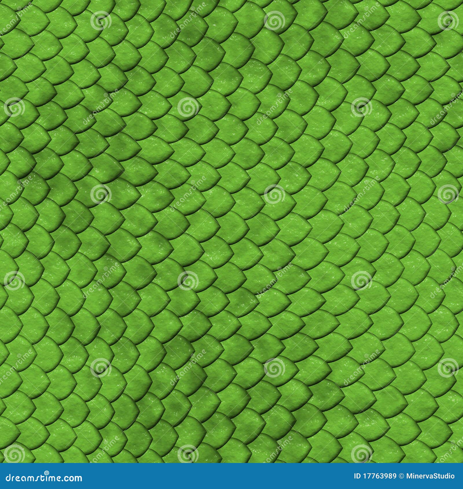 PELLE DEL RETTILE - SENZA CUCITURE Immagine Stock - Immagine di luce ...