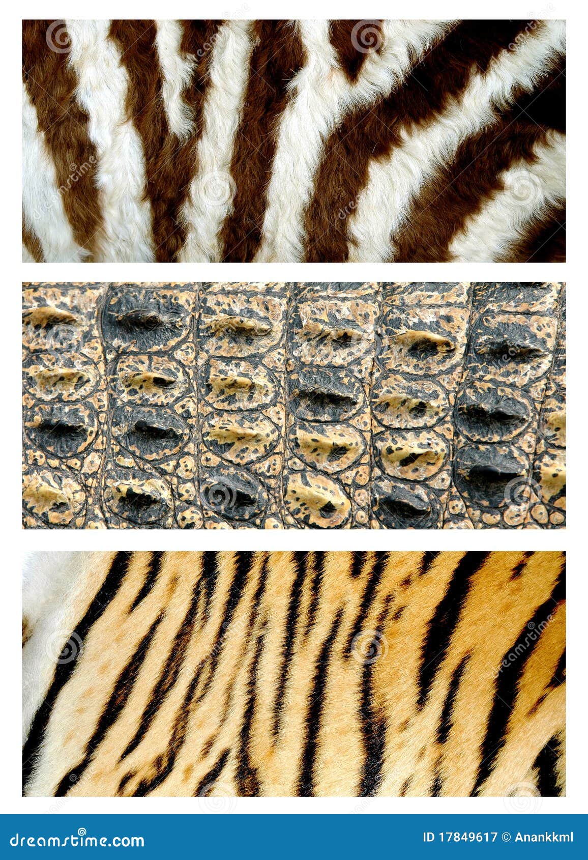 Pelle di animali immagine stock. Immagine di stile, animale - 17849617