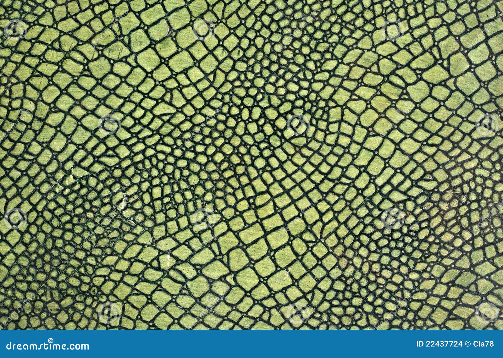 Pelle di serpente verde fotografia stock. Immagine di nero - 22437724