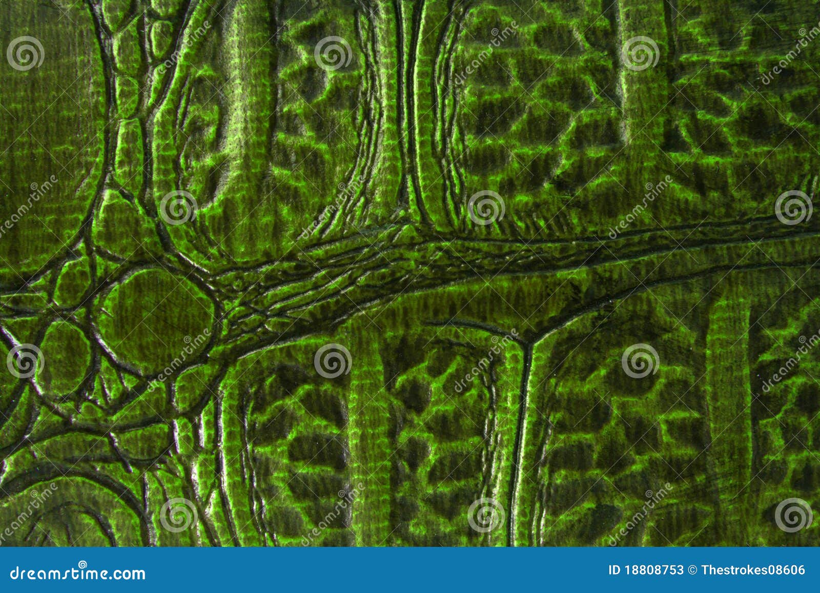 Pelle verde del rettile immagine stock. Immagine di verde - 18808753