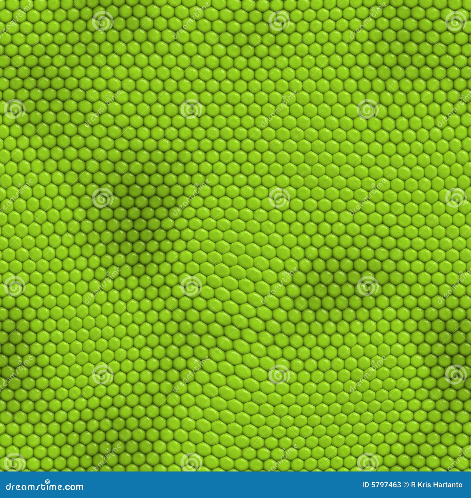 Pelle Verde Senza Giunte Dell'iguana Illustrazione di Stock ...