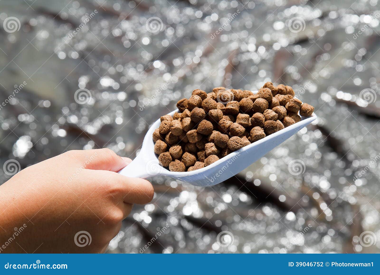 Pellet fish food. stock photo. Image of flog, food, dieting - 39046752