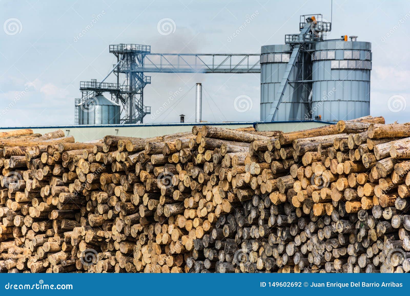 Pellet Manufacturing Plant Ecological Resources for the Heating of ...