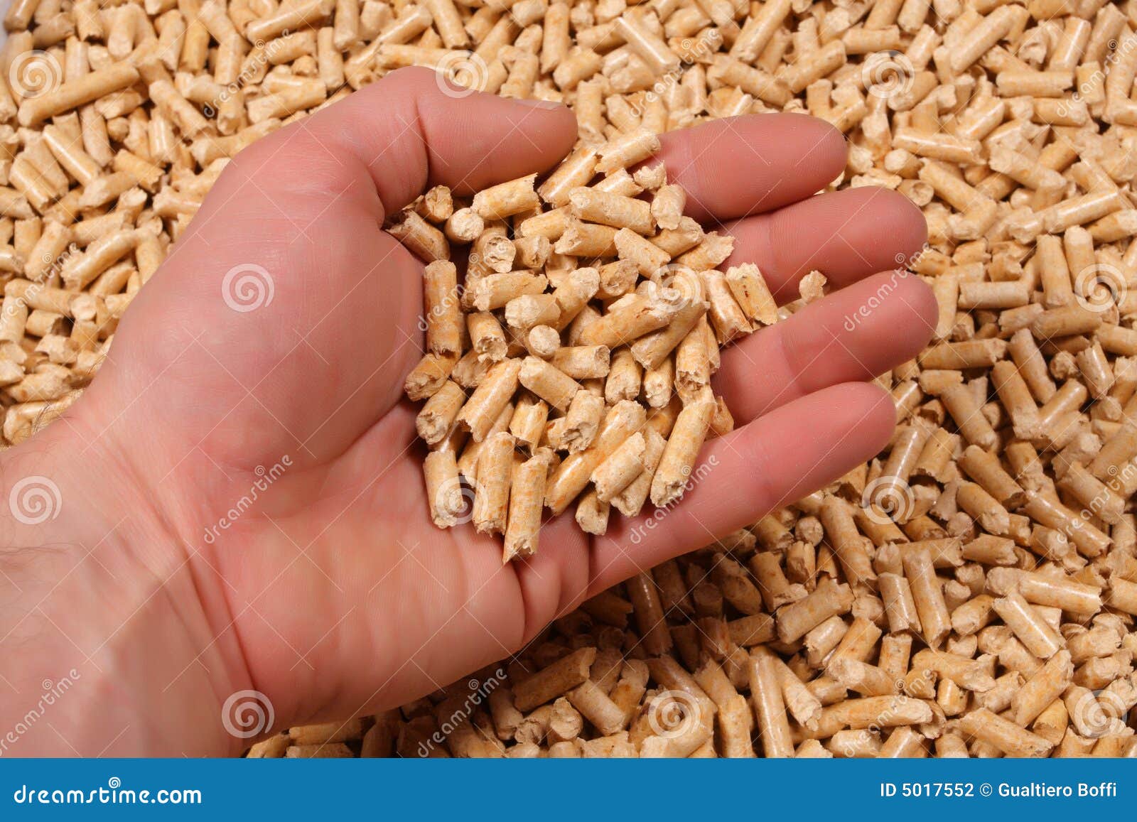 Pellet texture stock photo. Image of compressed, winter - 5017552