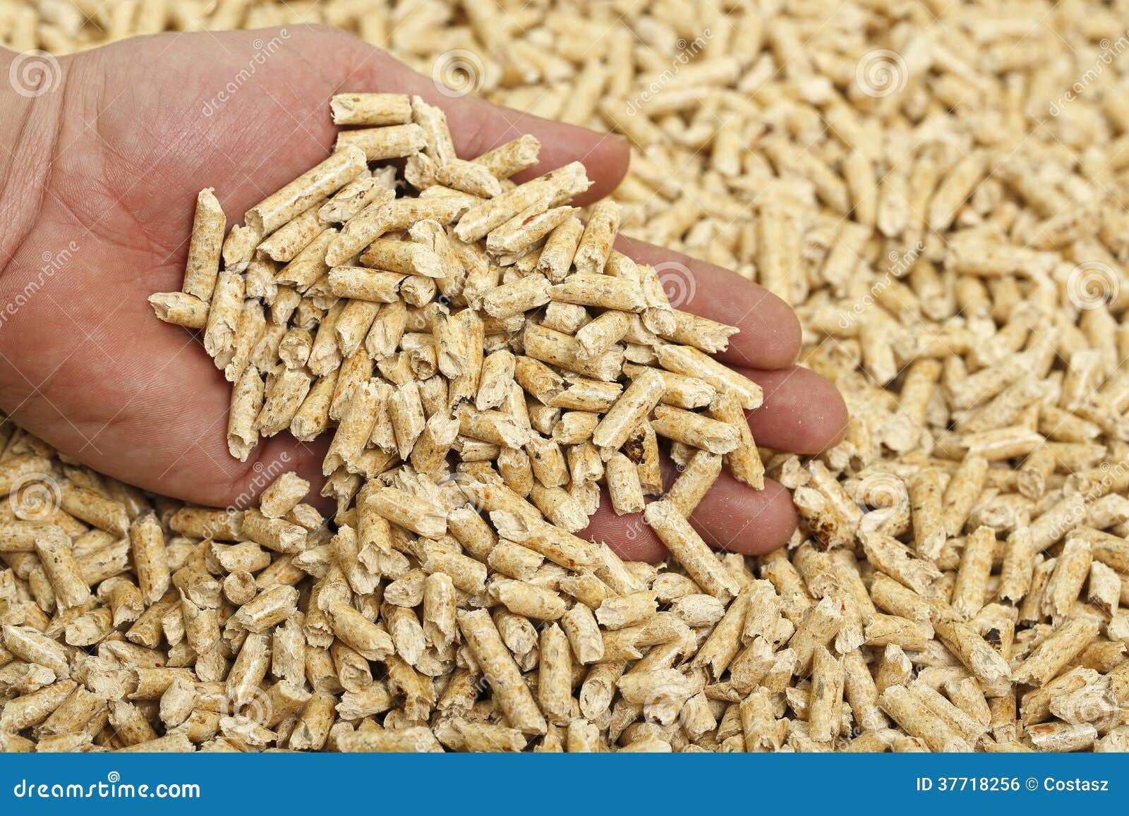 Pellets in hand stock photo. Image of nature, alternative - 37718256