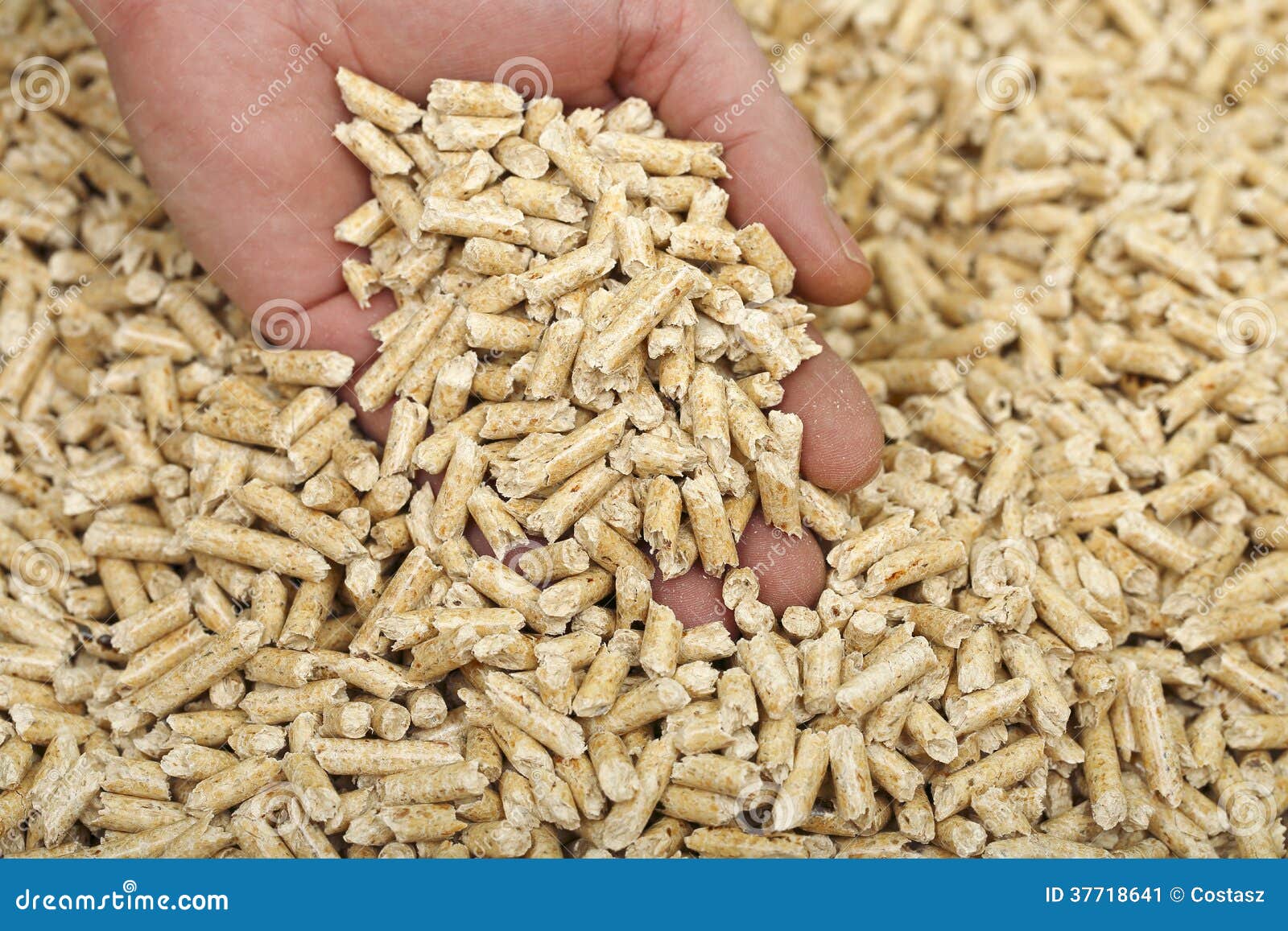 Pellets in hand stock image. Image of bioenergy, compressed - 37718641