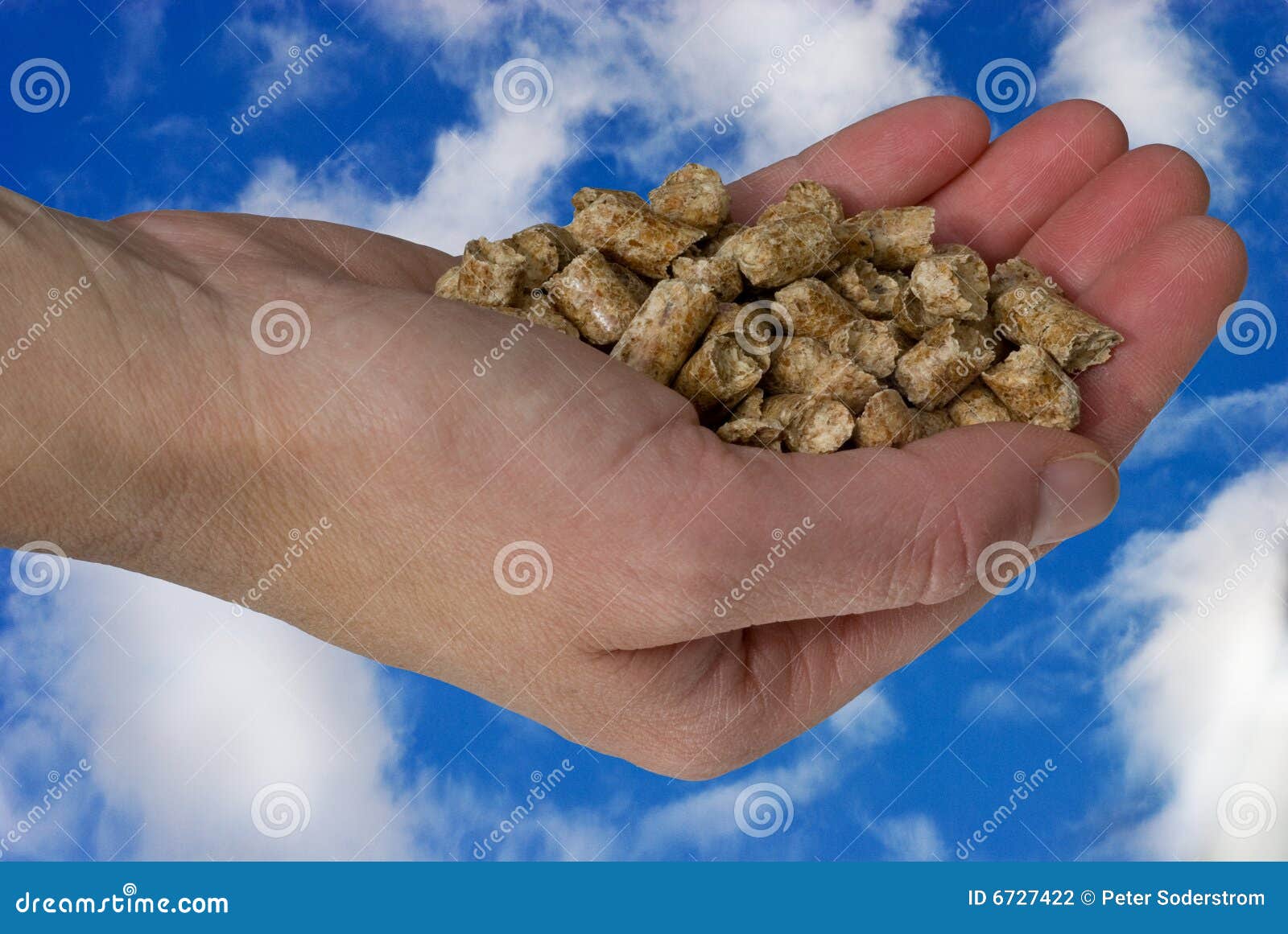 Pellets Hand stock photo. Image of shower, hand, cloud - 6727422