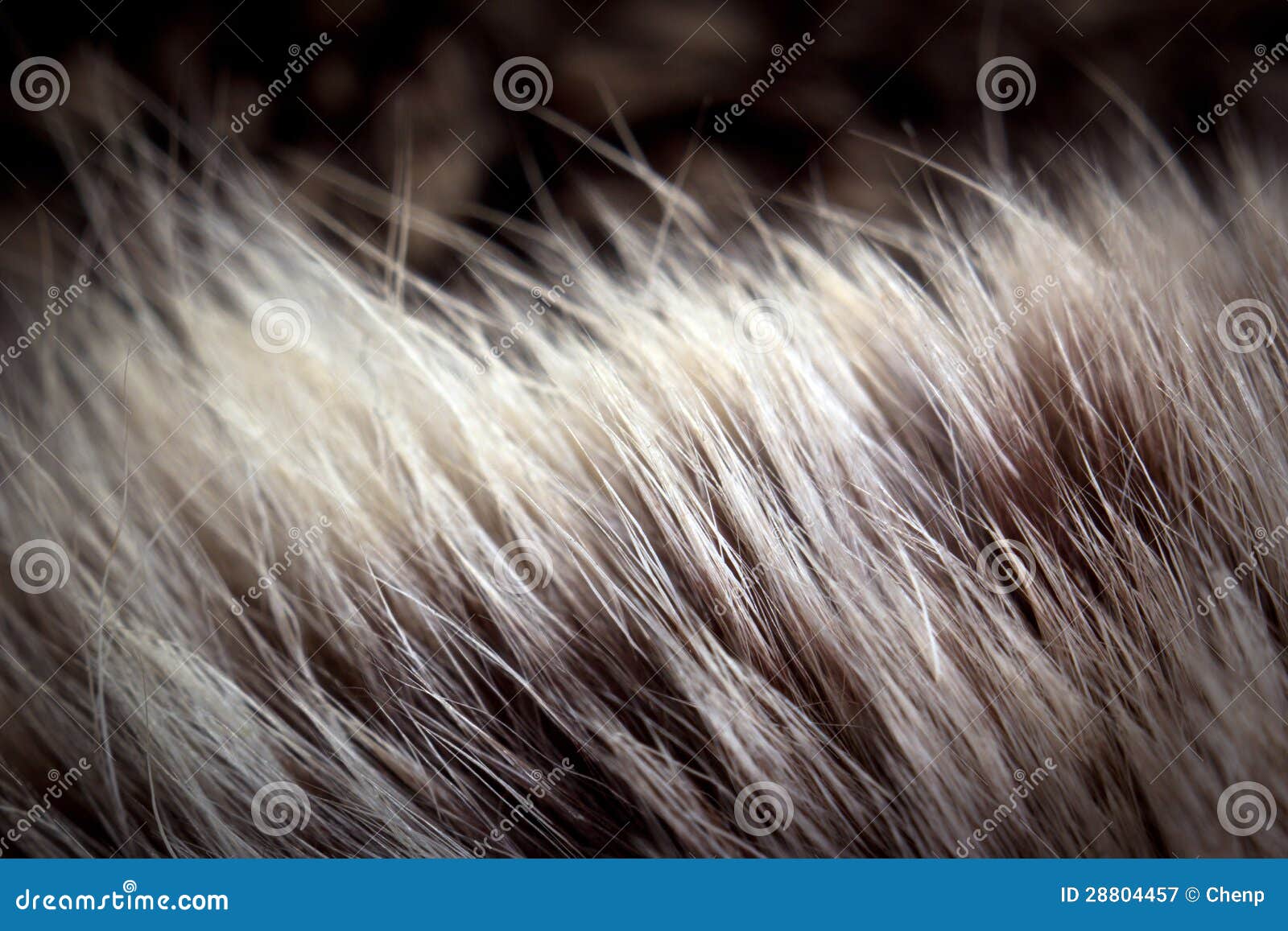 Pelo animal, imagen de archivo. Imagen de crecimiento - 28804457