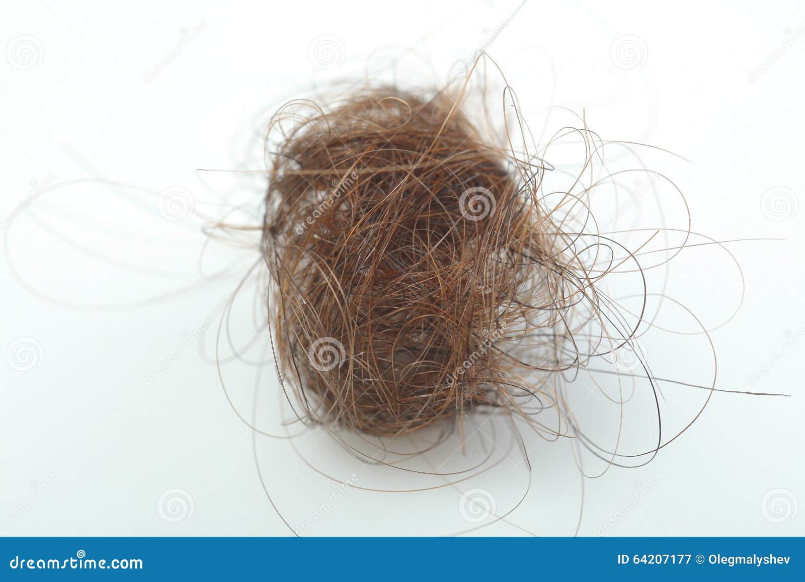 Pelo enmarañado imagen de archivo. Imagen de muchacha - 64207177