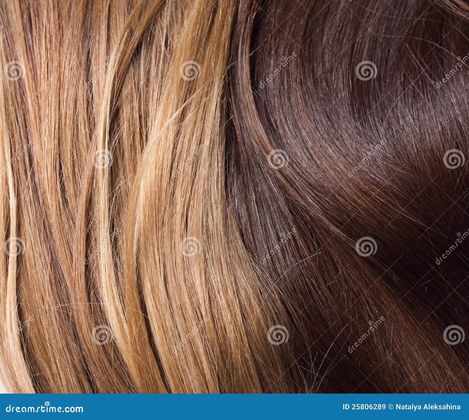 Pelo Rubio Y Marrón Natural Imagen de archivo - Imagen de fondo ...