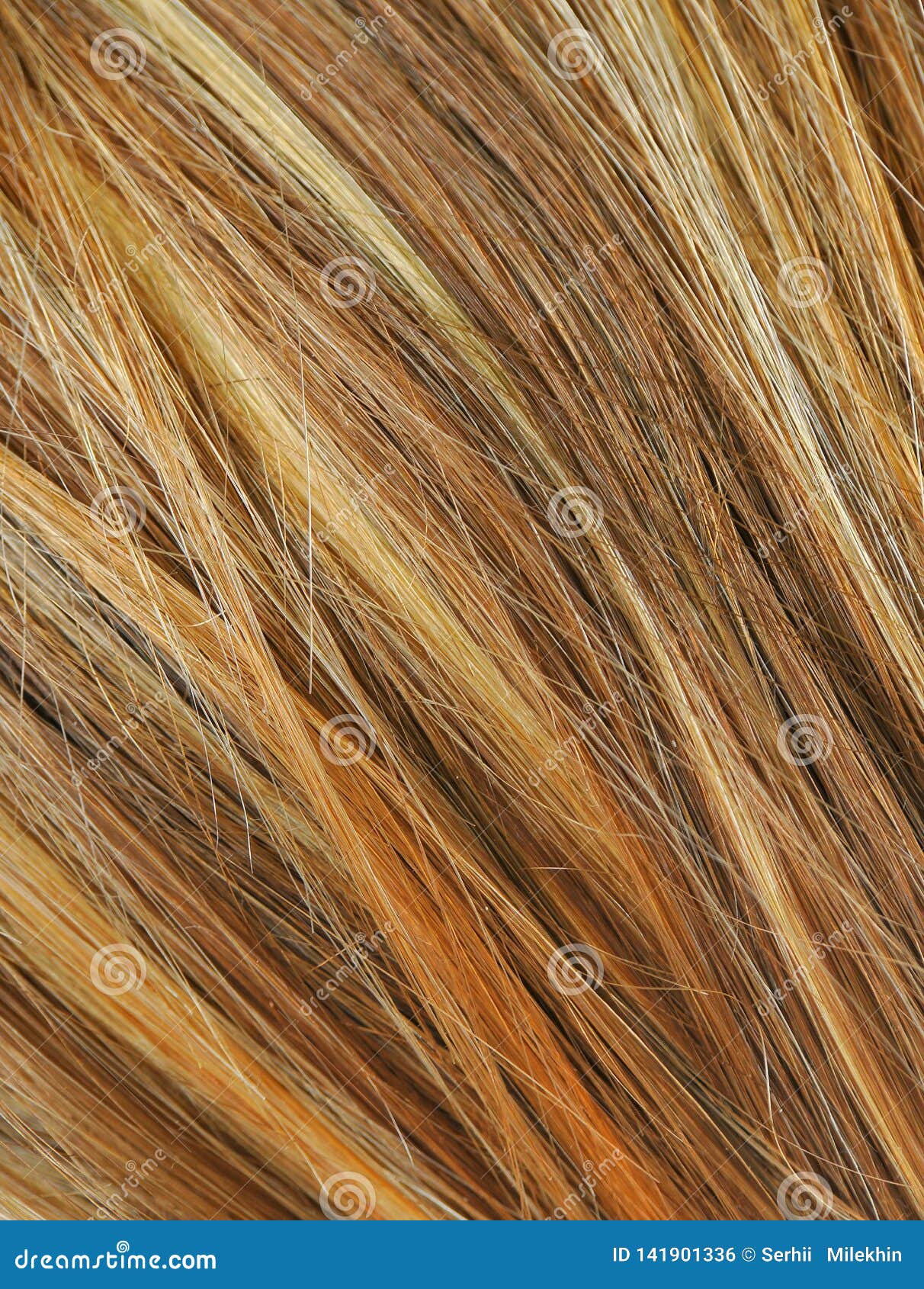 Pelo Textura Del Pelo Pelo Sano Foto de archivo - Imagen de color, pelo ...