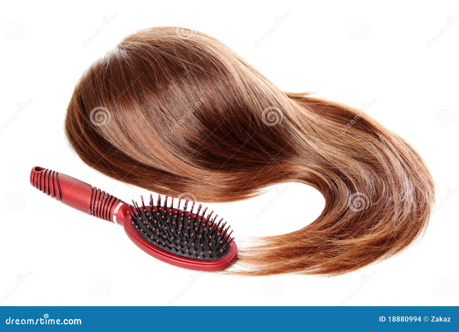 Pelo Y Cepillo Para El Pelo Con La Caspa | Aislado Foto de archivo ...