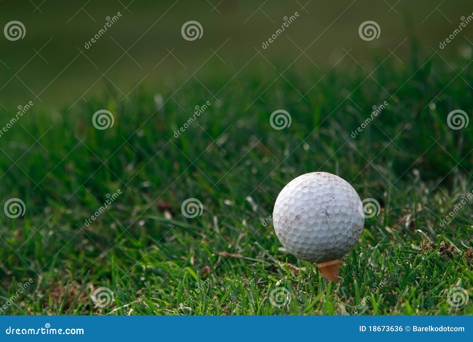 Pelota de golf foto de archivo. Imagen de club, campo - 18673636