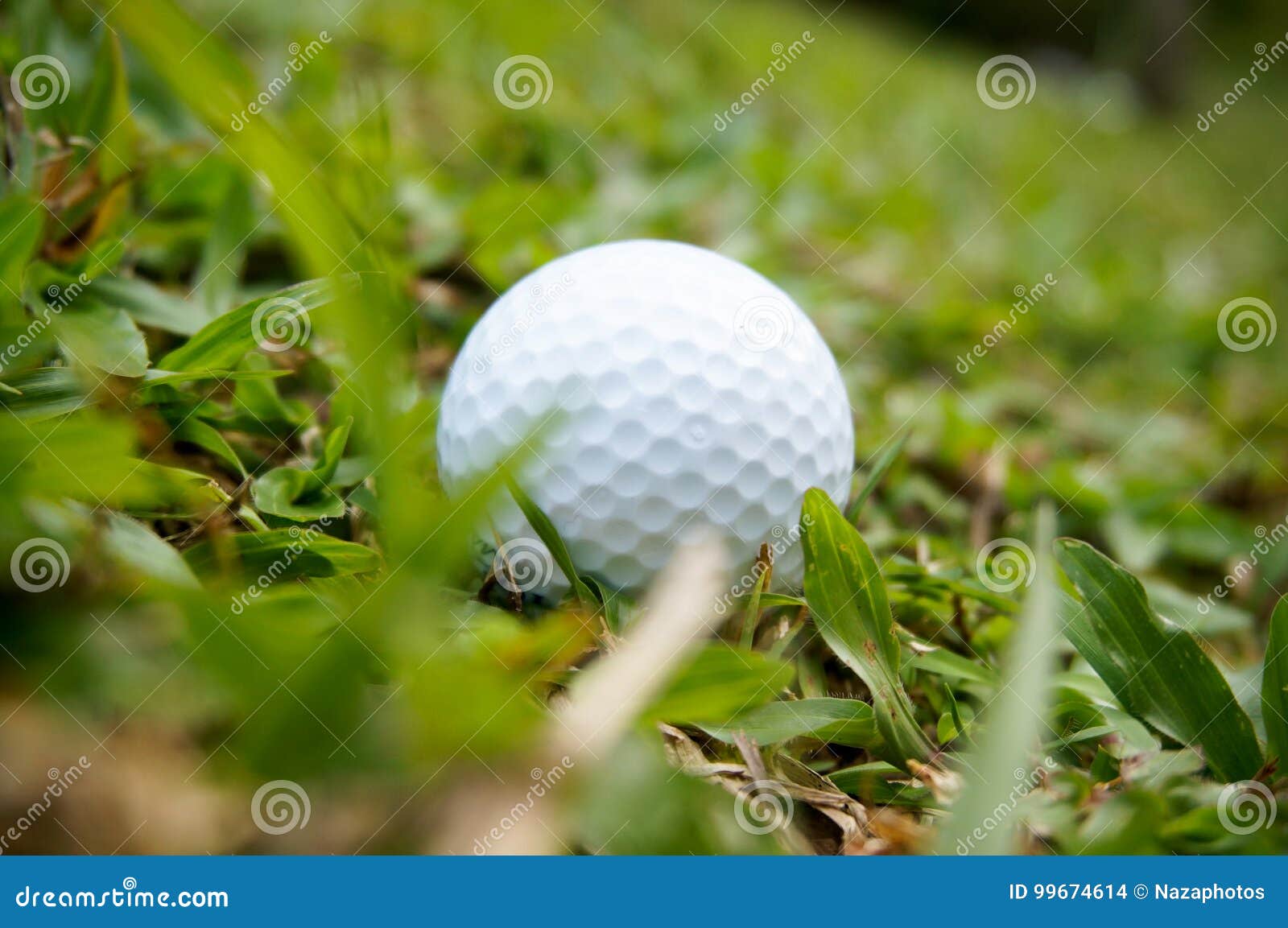 Pelota De Golf En Una Cuesta Foto de archivo - Imagen de golf, agujero ...