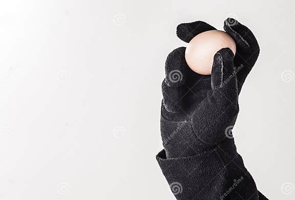 Pelted with Egg stock photo. Image of journalist, blazon - 84259214