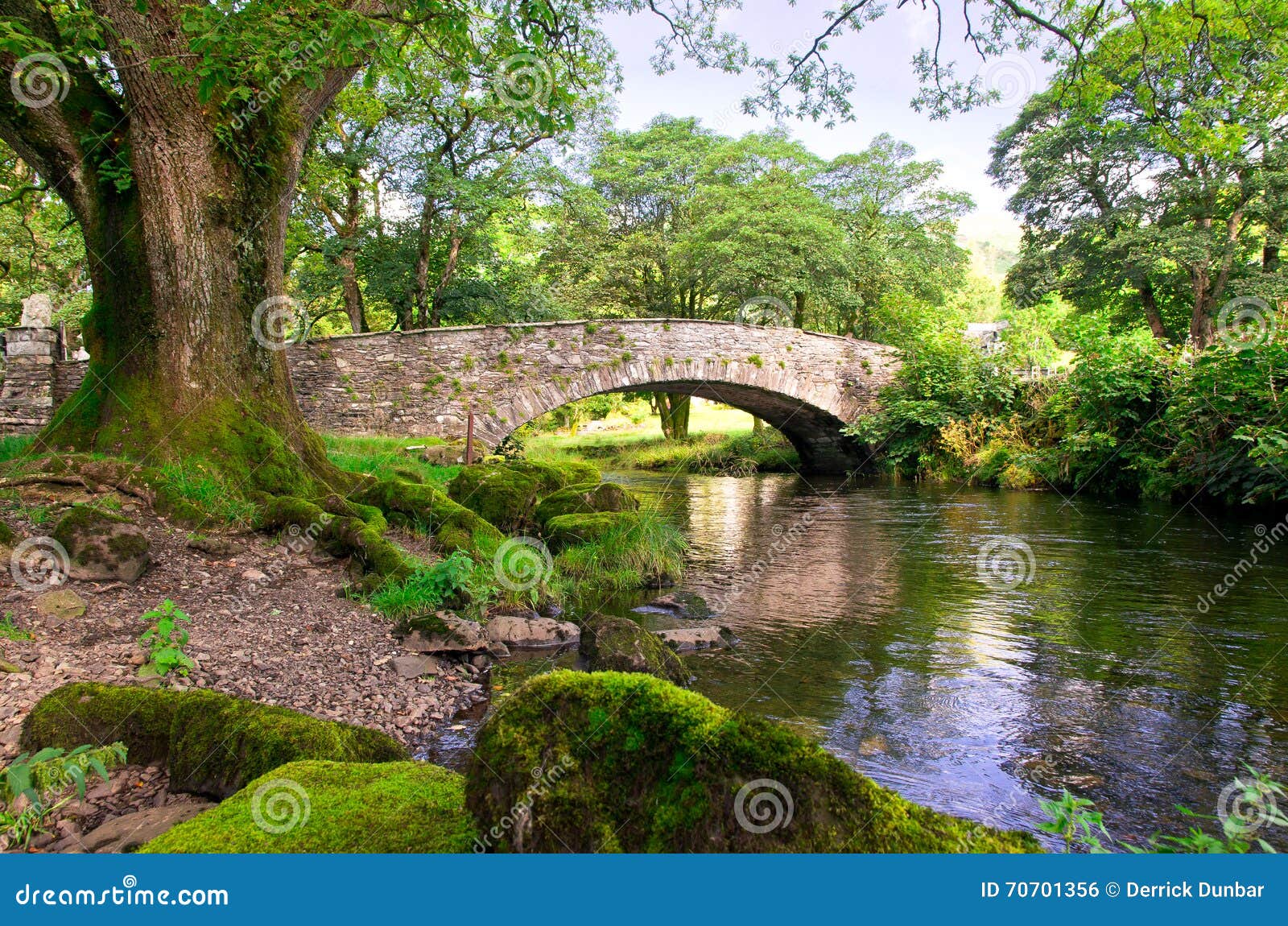 Pelter Bride stock photo. Image of vegetation, long, stones - 70701356