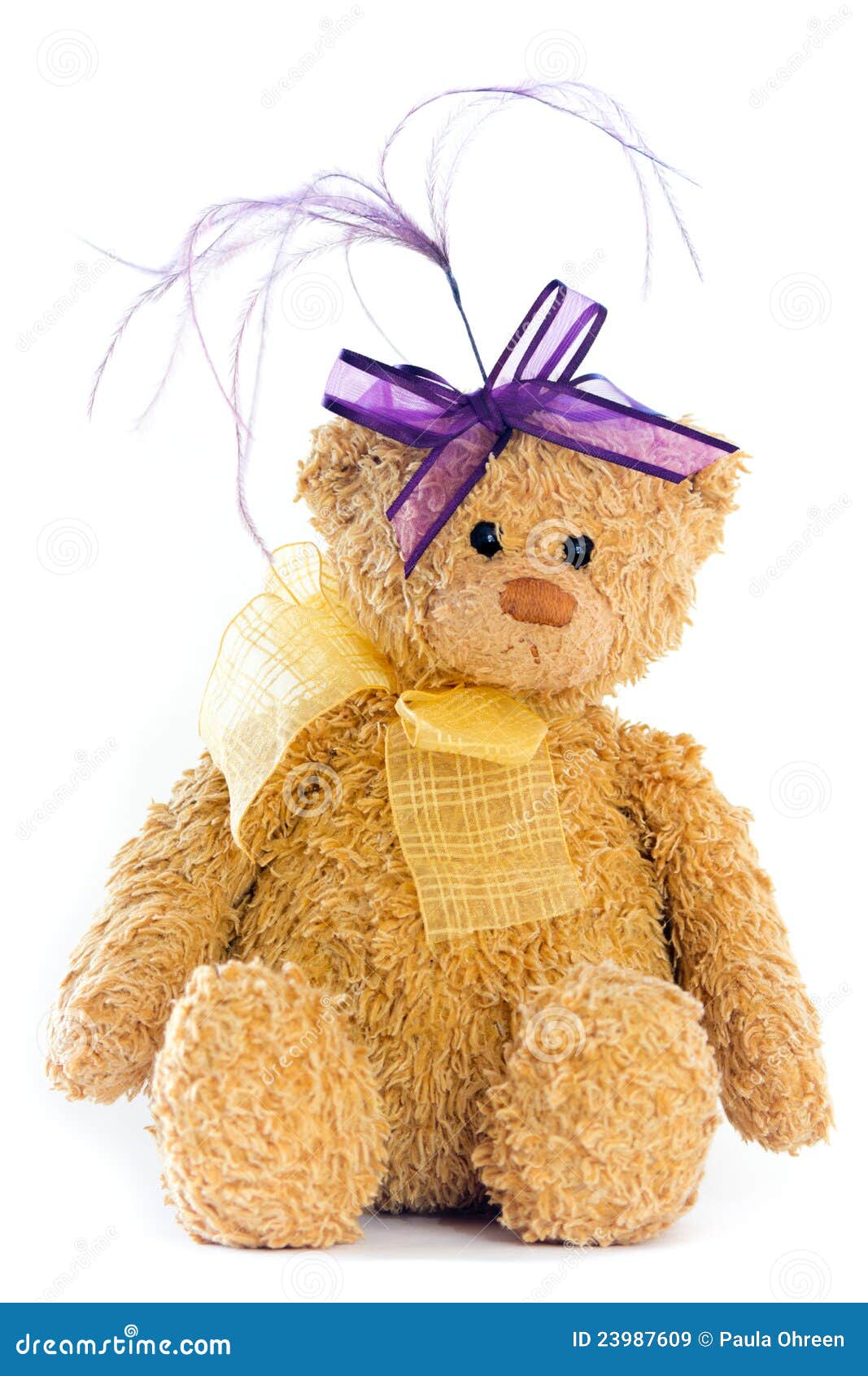 Peluche del corista imagen de archivo. Imagen de aislado - 23987609