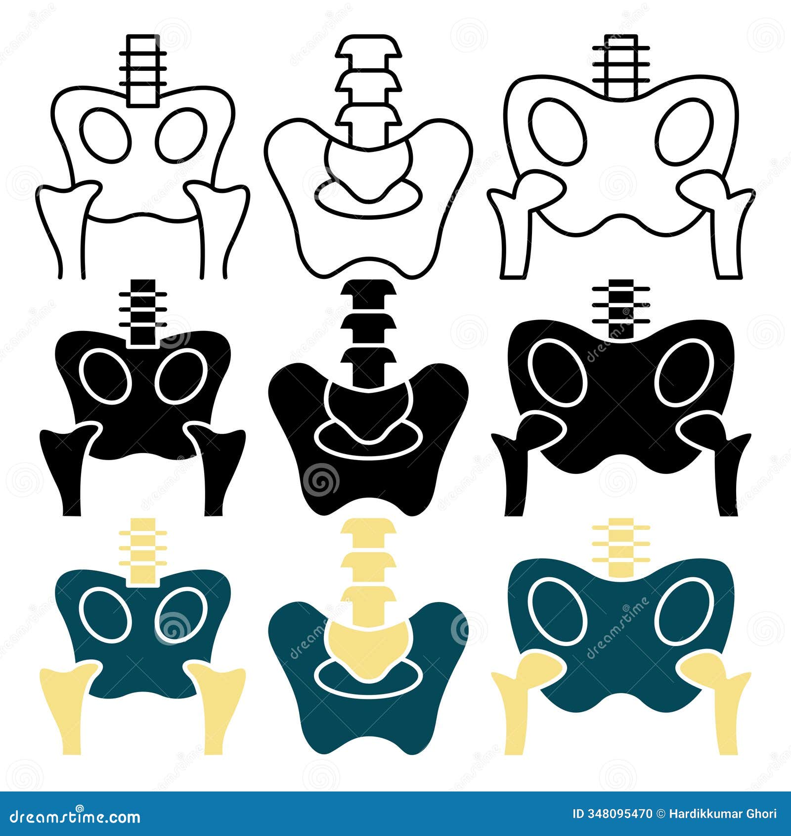 Pelvic Area Outline Icon Collection Or Set. Pelvic Area Thin Vector ...