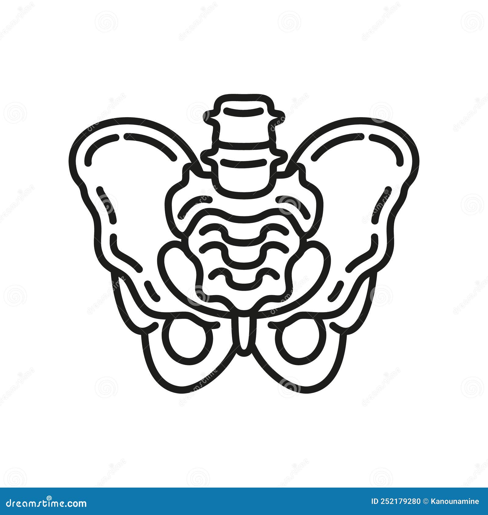 Linear Pelvic Area Icon From Medical Outline Collection. Thin Line ...