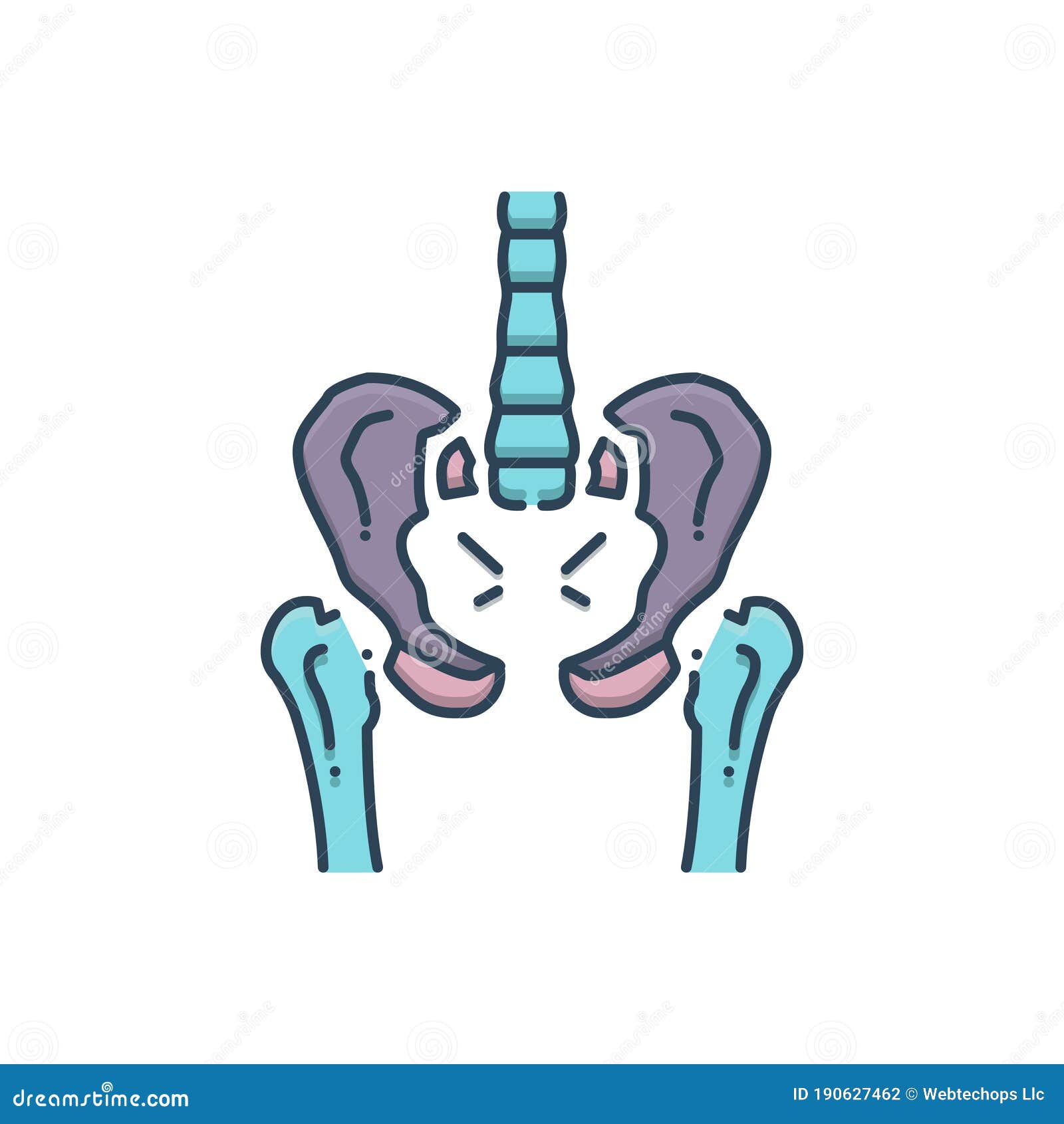 Color Illustration Icon for Pelvic, Bones and Snuffle Stock ...