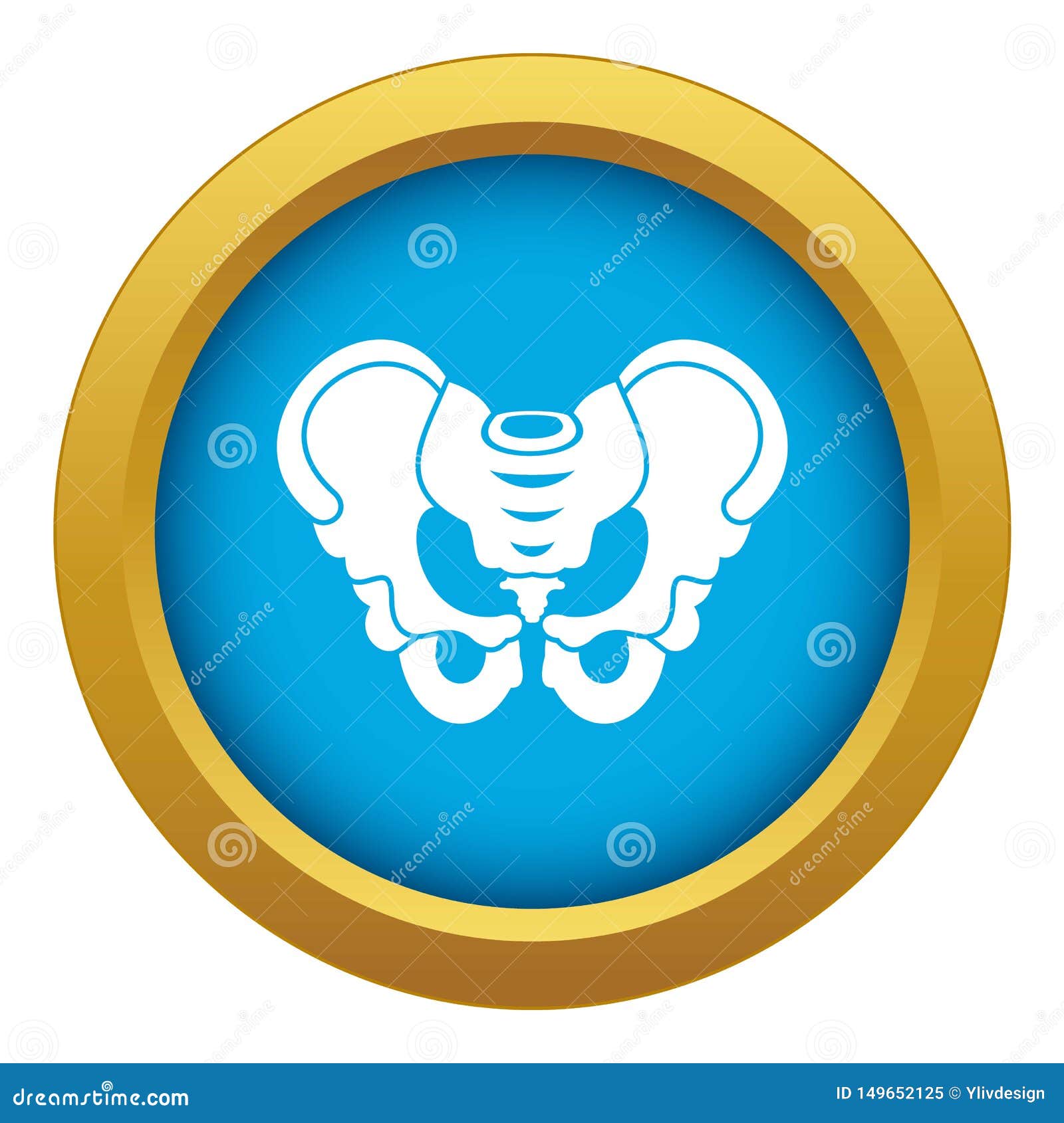 Pelvis Icon. Hip Joint The Structure Of The Human Skeleton. Pelvic ...