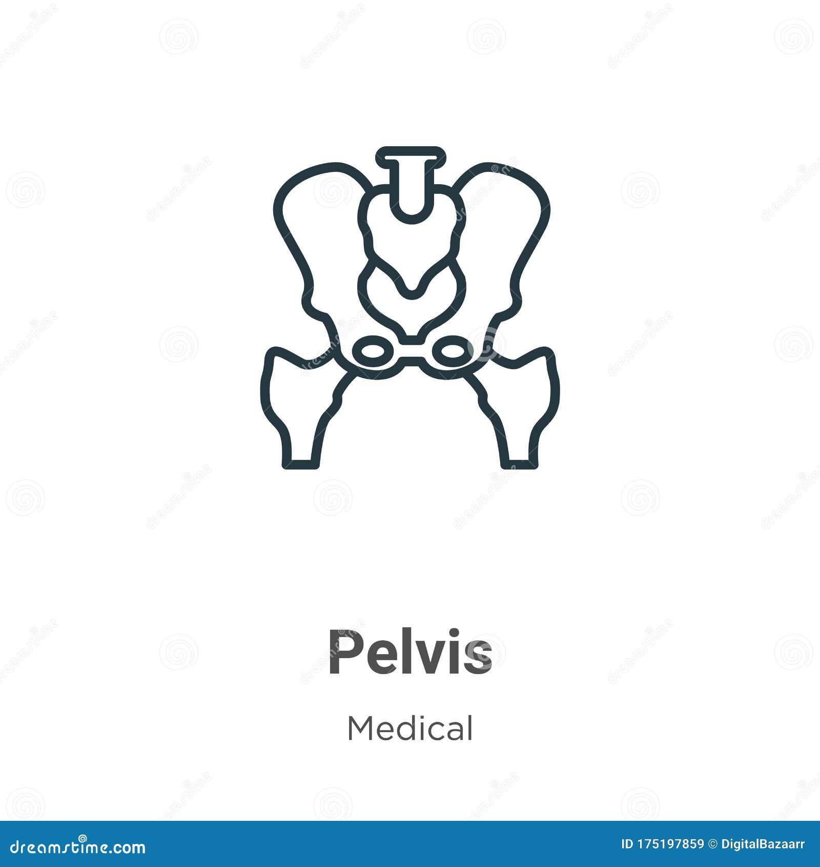 Pelvis Outline Vector Icon. Thin Line Black Pelvis Icon, Flat Vector Simple Element Illustration ...