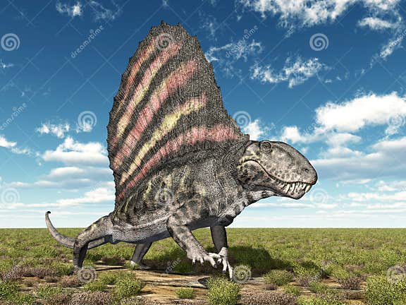 Pelycosaur Dimetrodon stock illustration. Illustration of prehistoric ...