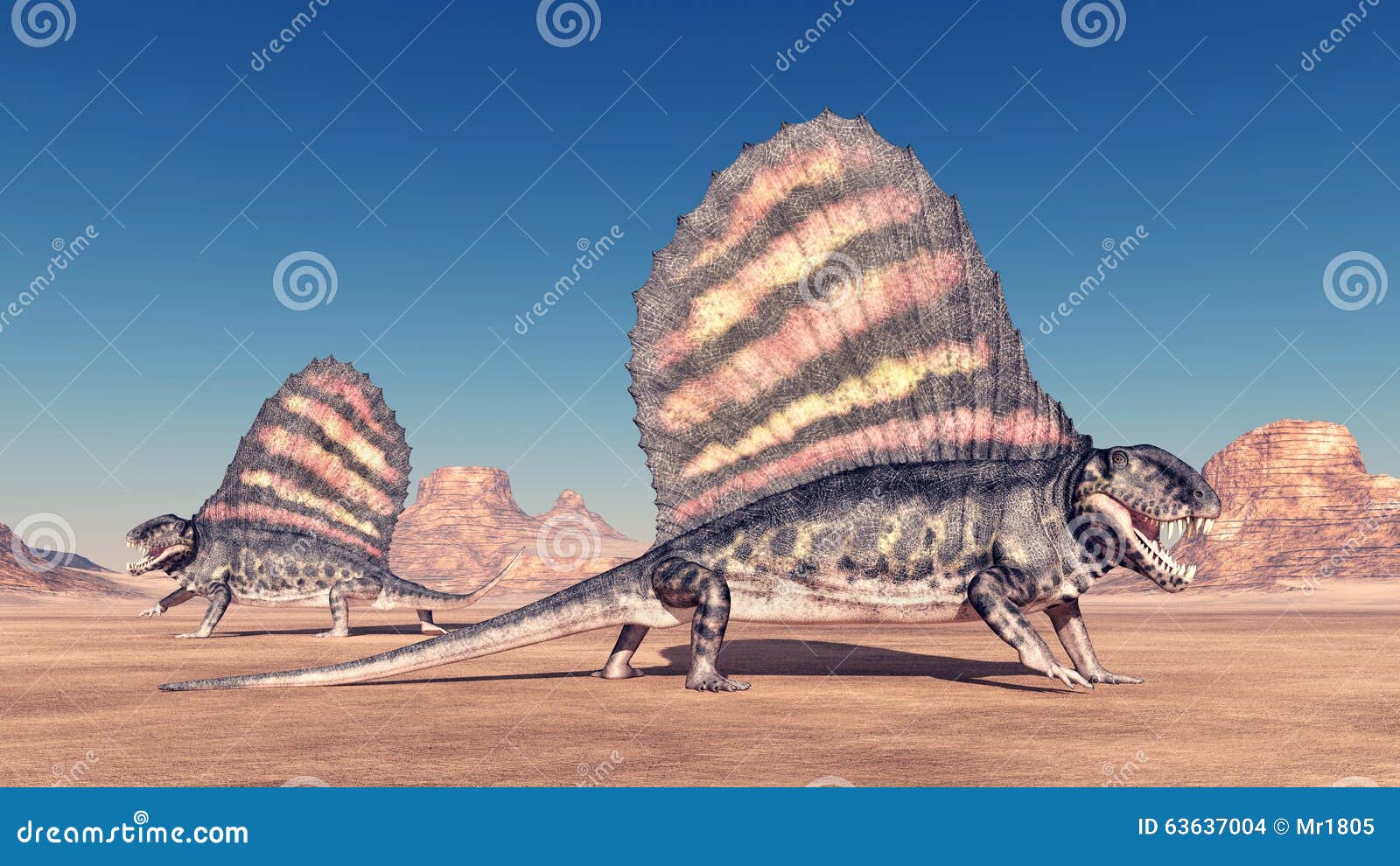 Pelycosaur Dimetrodon stock illustration. Illustration of animal - 63637004