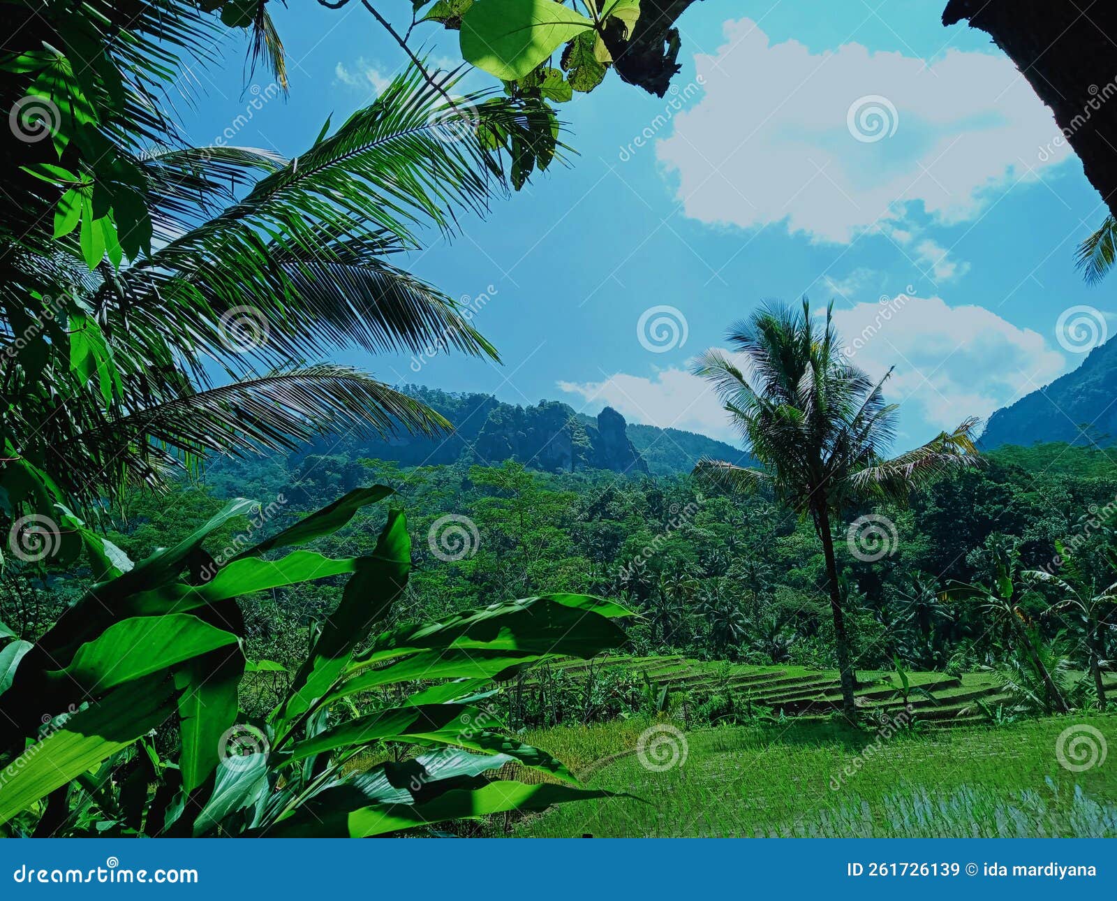 Pemandangan, Beautiful, View Stock Image - Image of beautiful, sunlight ...