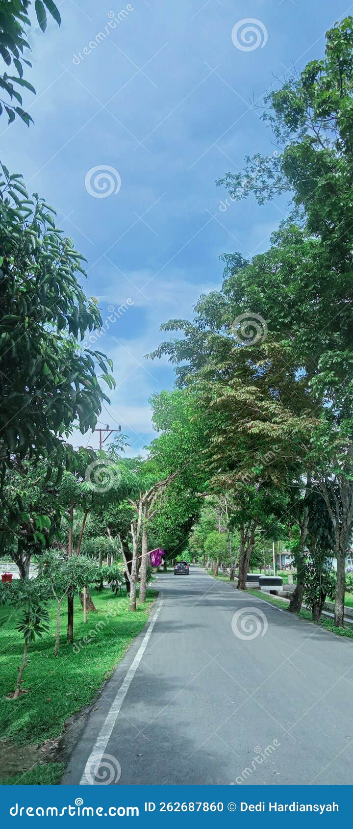 Pemandangan stock photo. Image of tree, green, road - 262687860
