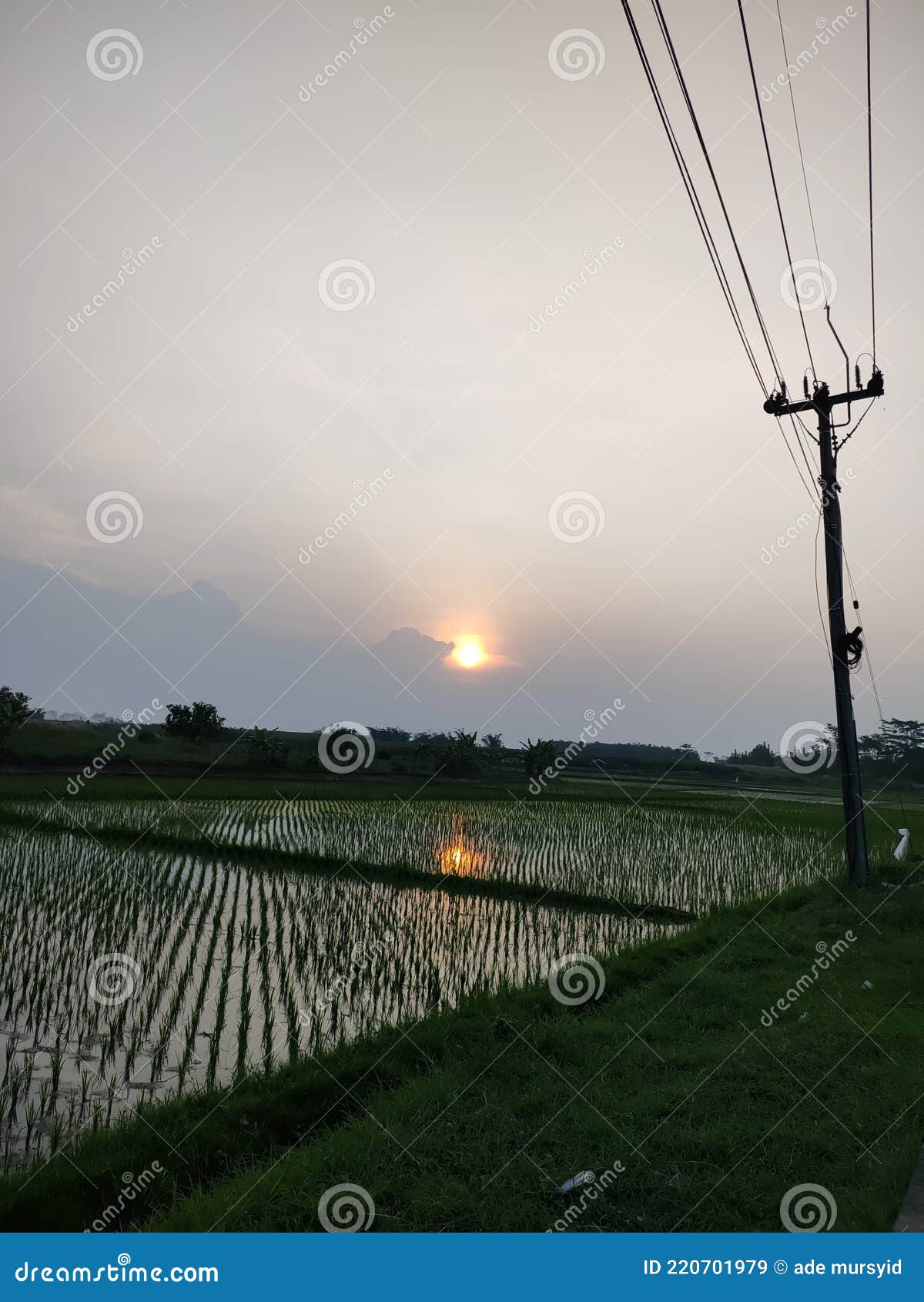Pemandangan stock image. Image of pemandangan, langit - 220701979