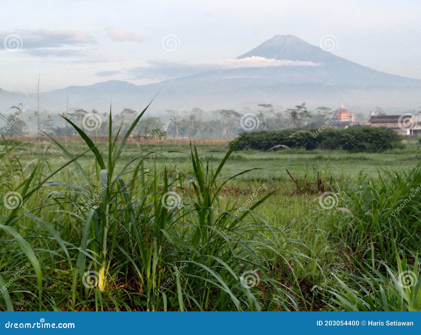 Pemandangan Pagi Hari Gunung Merbabu Stockfoto - Bild von grasland ...