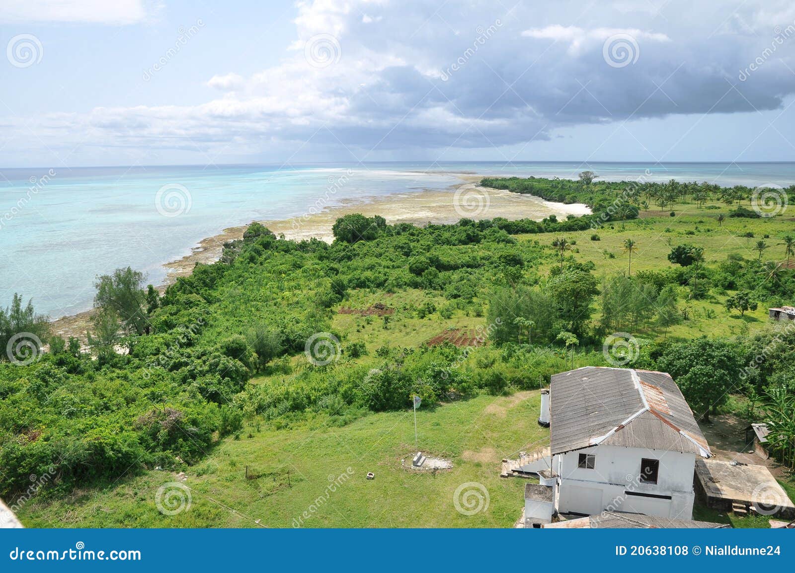 Pemba Island,Zanzibar stock photo. Image of white, forest - 20638108