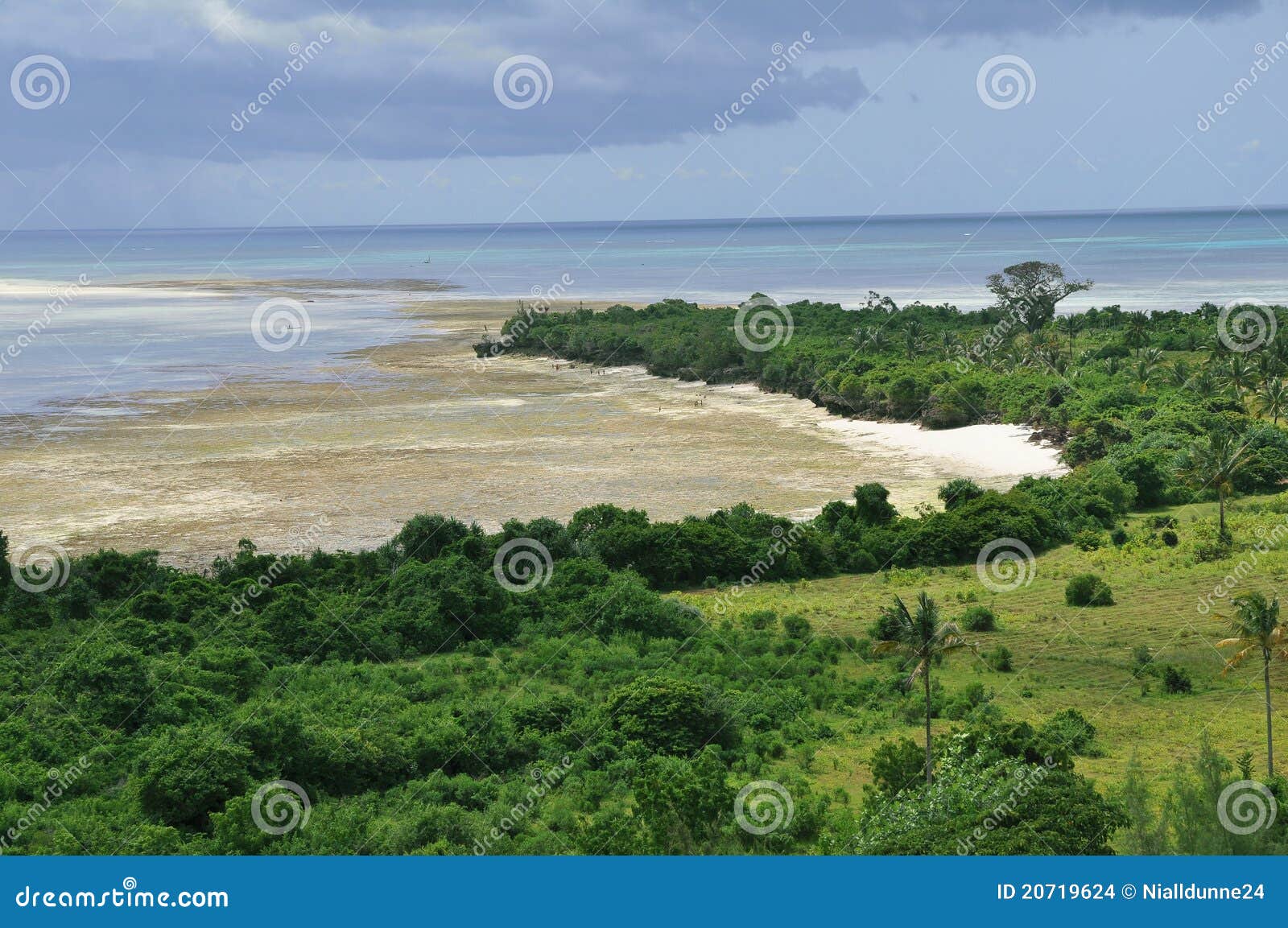 Pemba Island,Zanzibar stock photo. Image of sunlight - 20719624