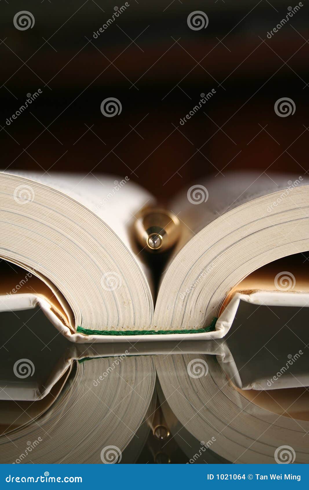 Pen and Book stock photo. Image of literature, book, hardcover - 1021064