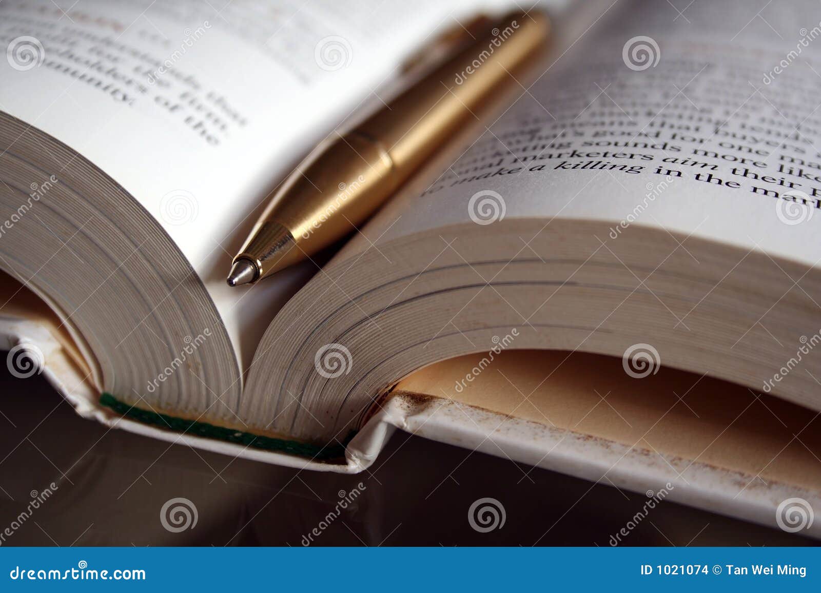Pen and Book stock photo. Image of golden, knowledge, leisure - 1021074