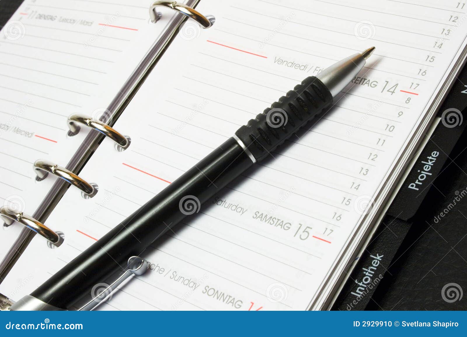 Pen and Calendar stock photo. Image of personal, document - 2929910