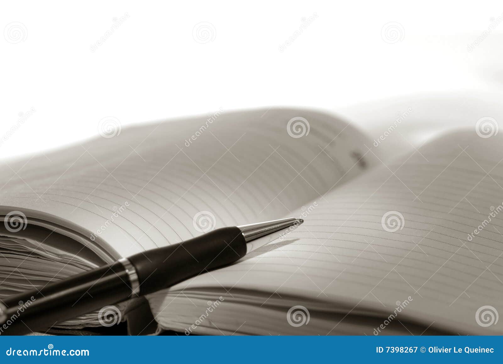 Pen on Day Planner Journal Open Blank Empty Page Stock Image - Image of ...
