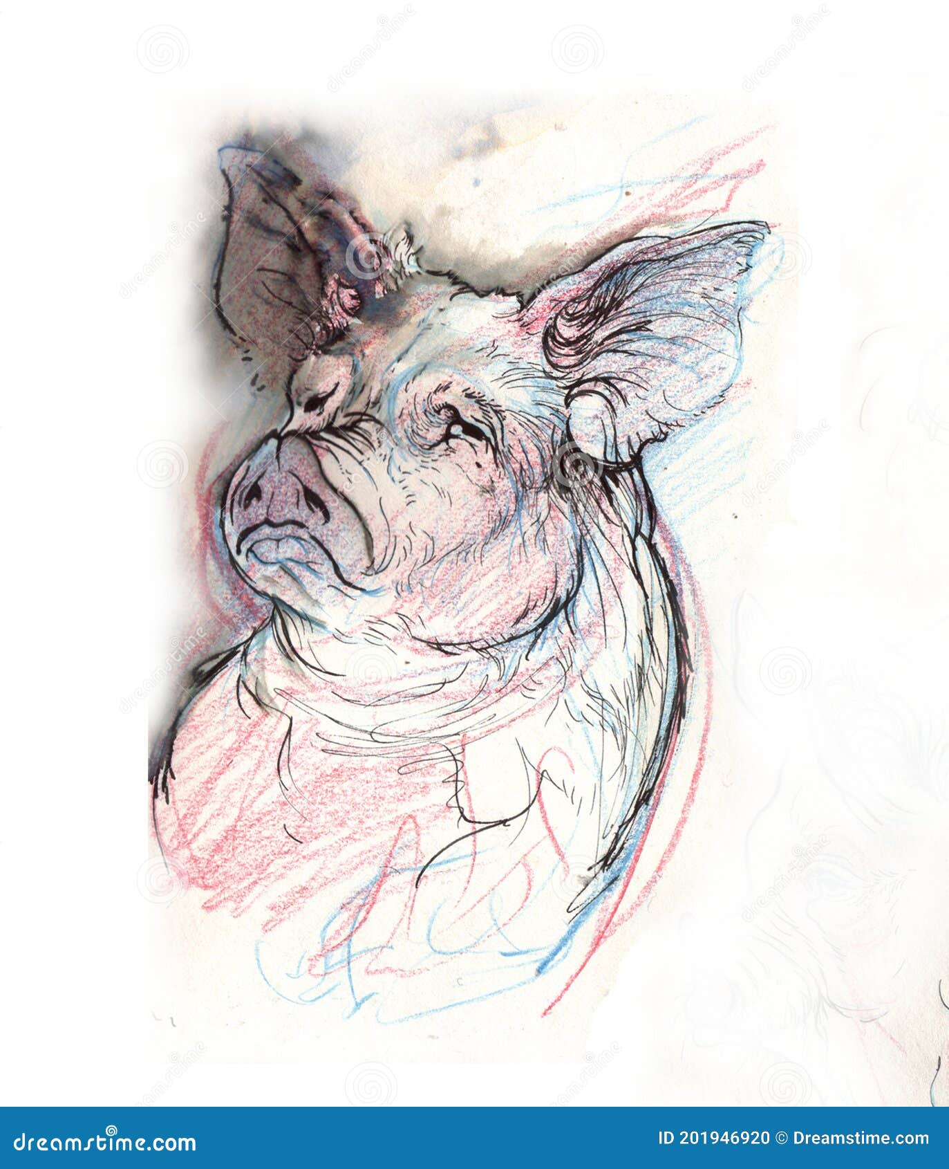 Pouting Piggy Face Emoji Line Icon Vector Illustration | CartoonDealer ...