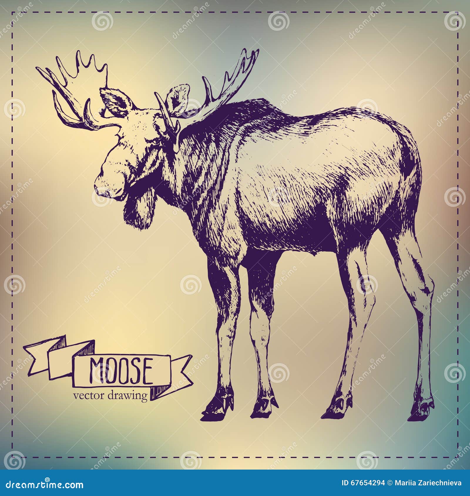 Pen Graphics Vector Moose Drawing Stock Vector - Illustration of animal ...