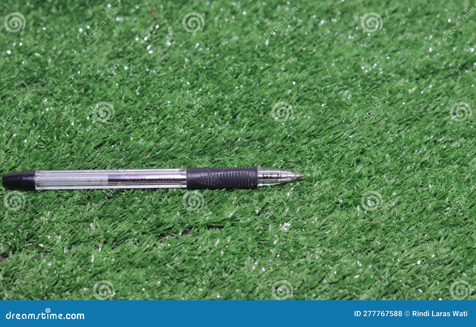 Pen on the grass stock photo. Image of floral, flower - 277767588
