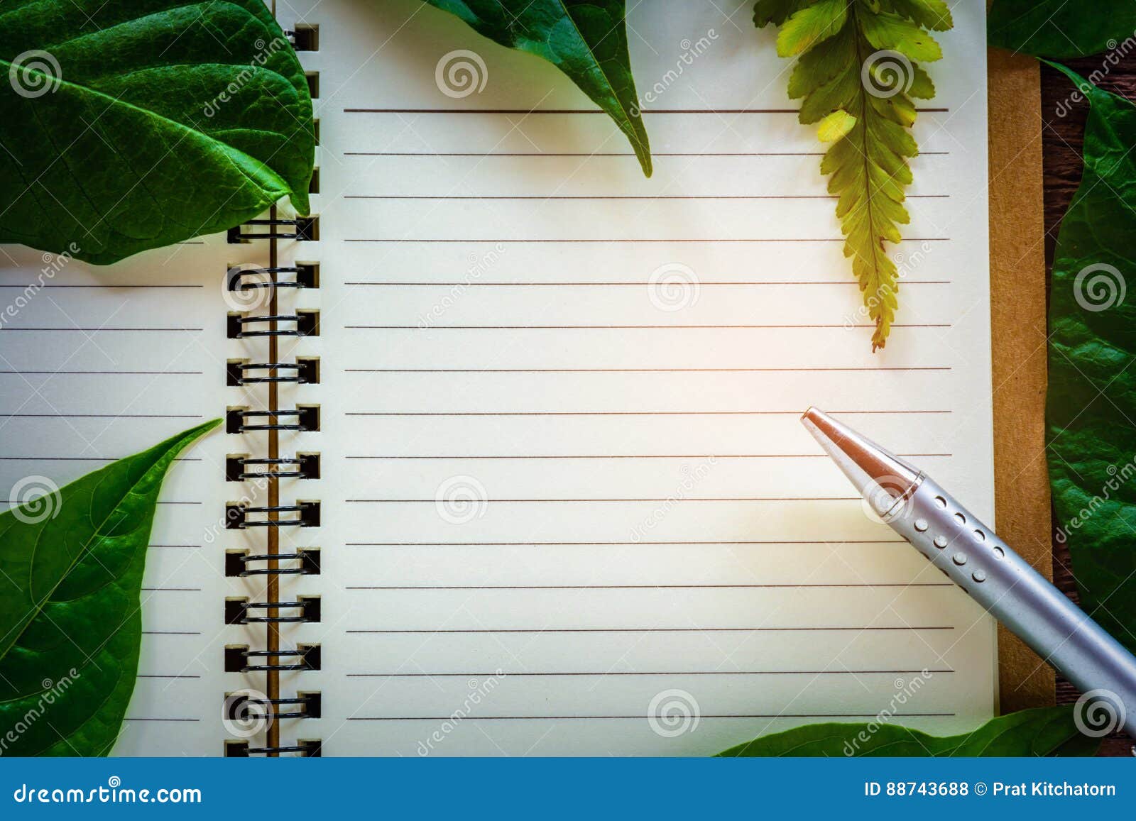 Pen and Green Leafs on Notebook Stock Photo - Image of design, diary ...
