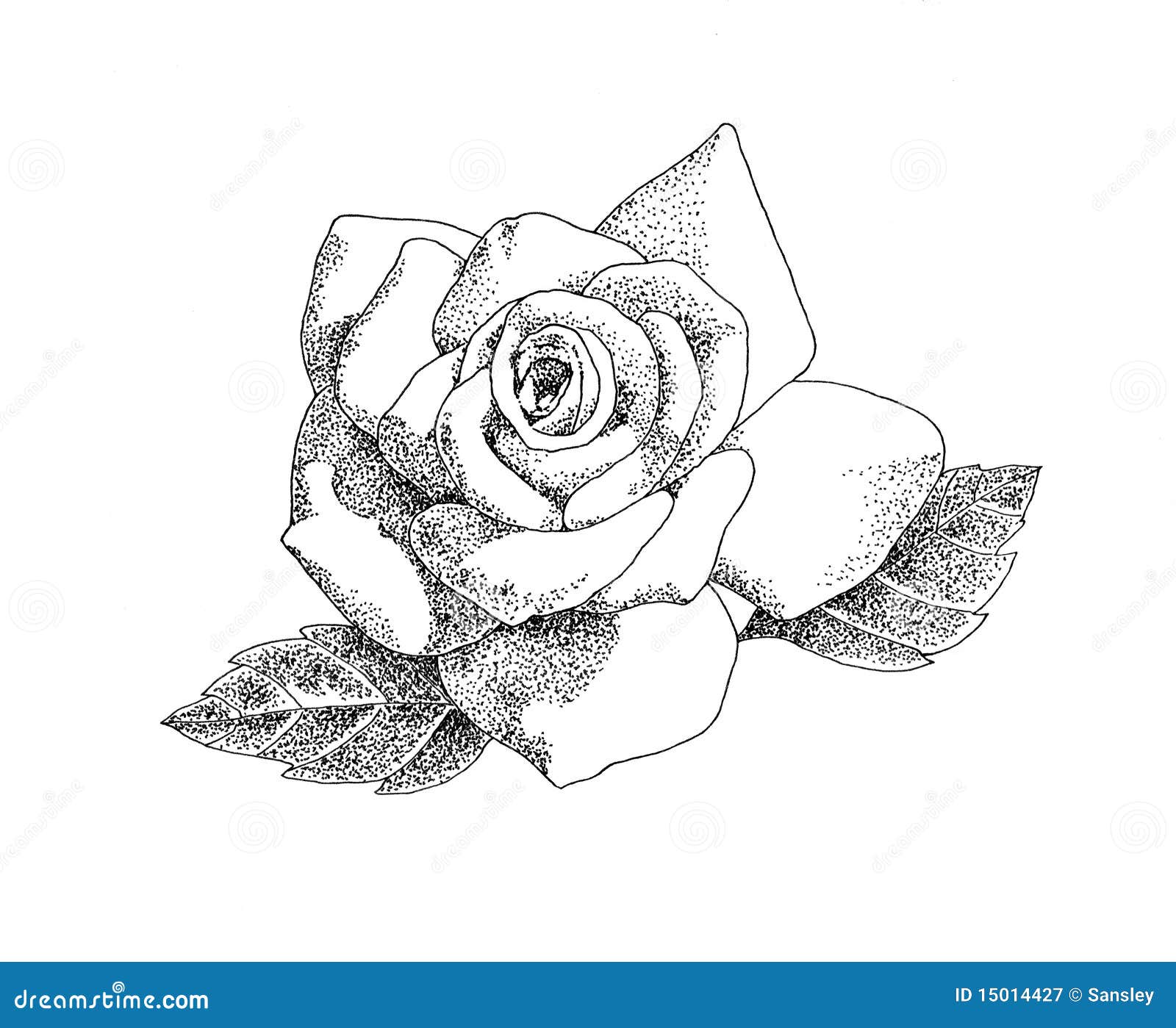 Sale > ink rose drawing > in stock