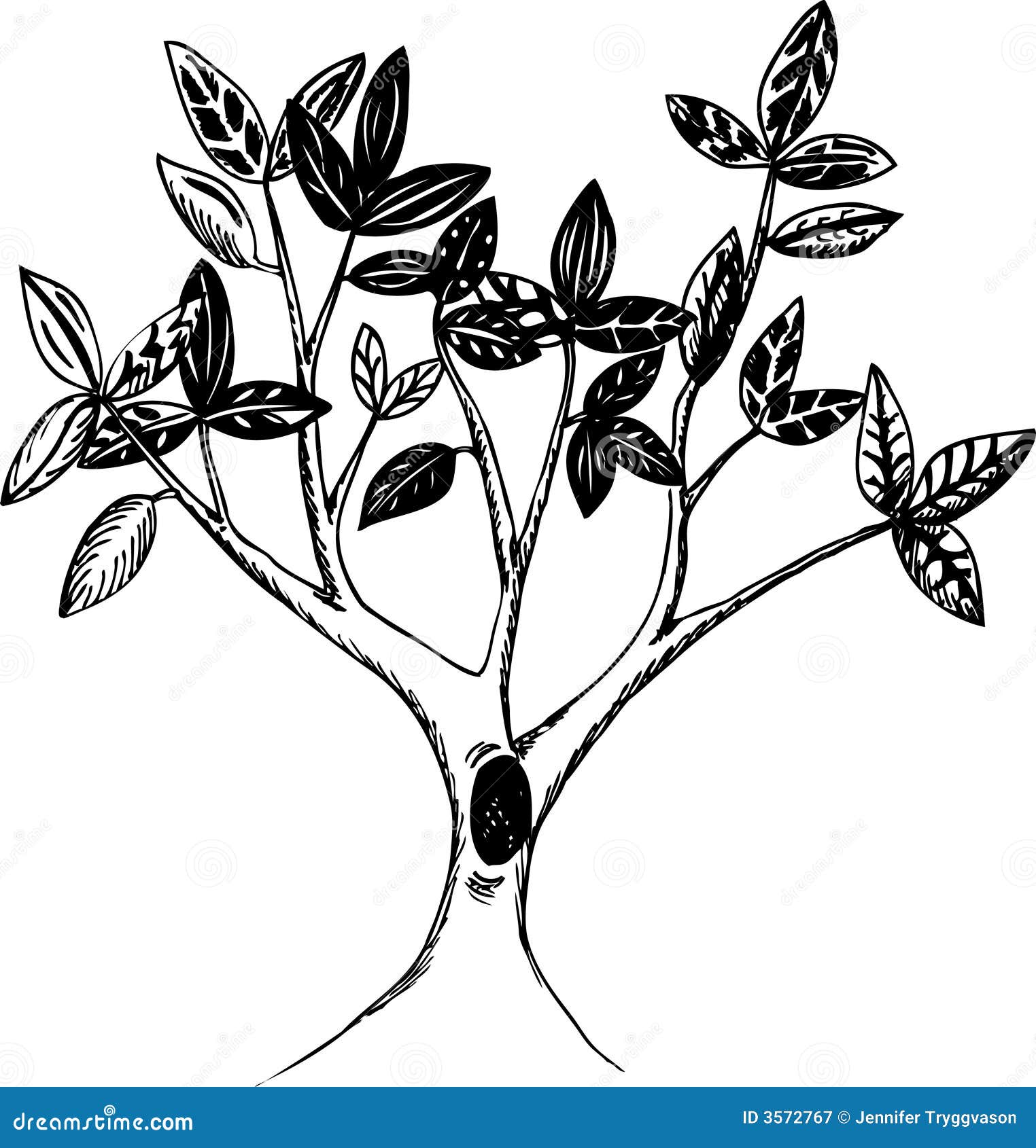 Pen and Ink Tree stock illustration. Illustration of leaf - 3572767