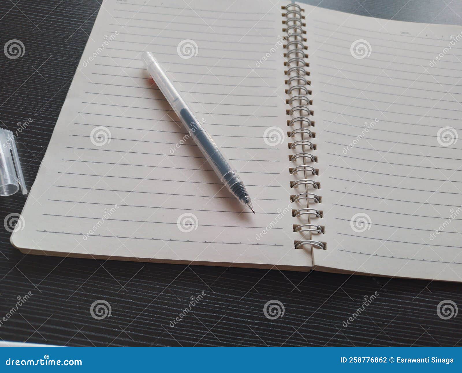 Pen Laying on Open Notebook Stock Photo - Image of writing, blank ...