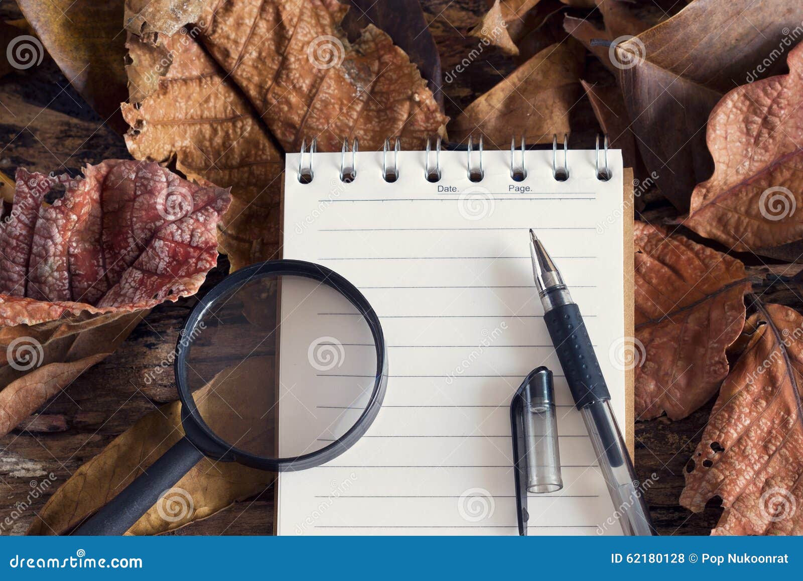 Magnifying Glass Leaf Note Book Stock Photos - Free & Royalty-Free ...