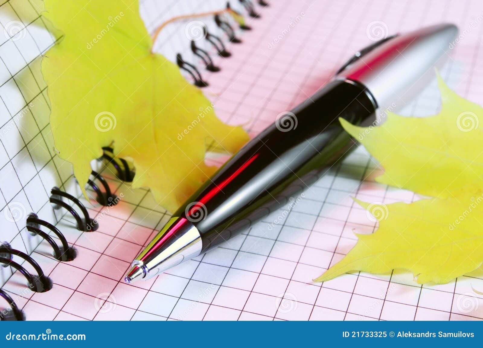 Pen and notepad stock image. Image of notebook, white - 21733325