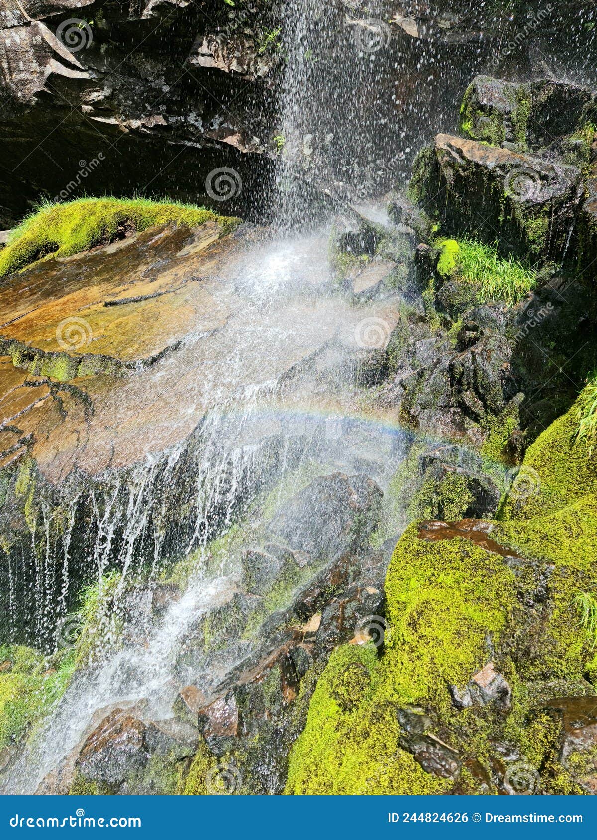 Pen pych waterfall stock photo. Image of tree, woodland - 244824626