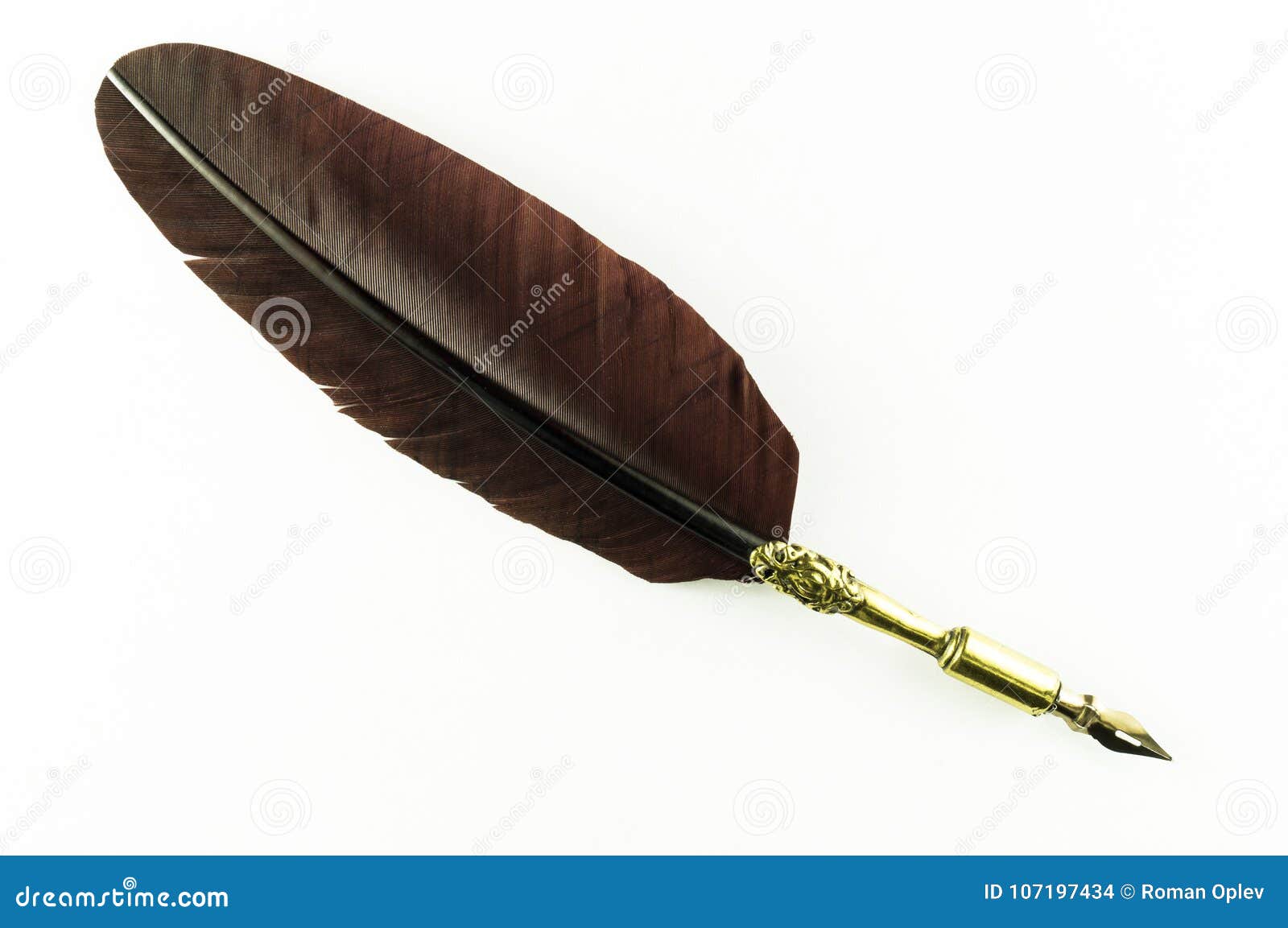 Pen Write Ink on White Background Stock Photo - Image of concepts, hair ...