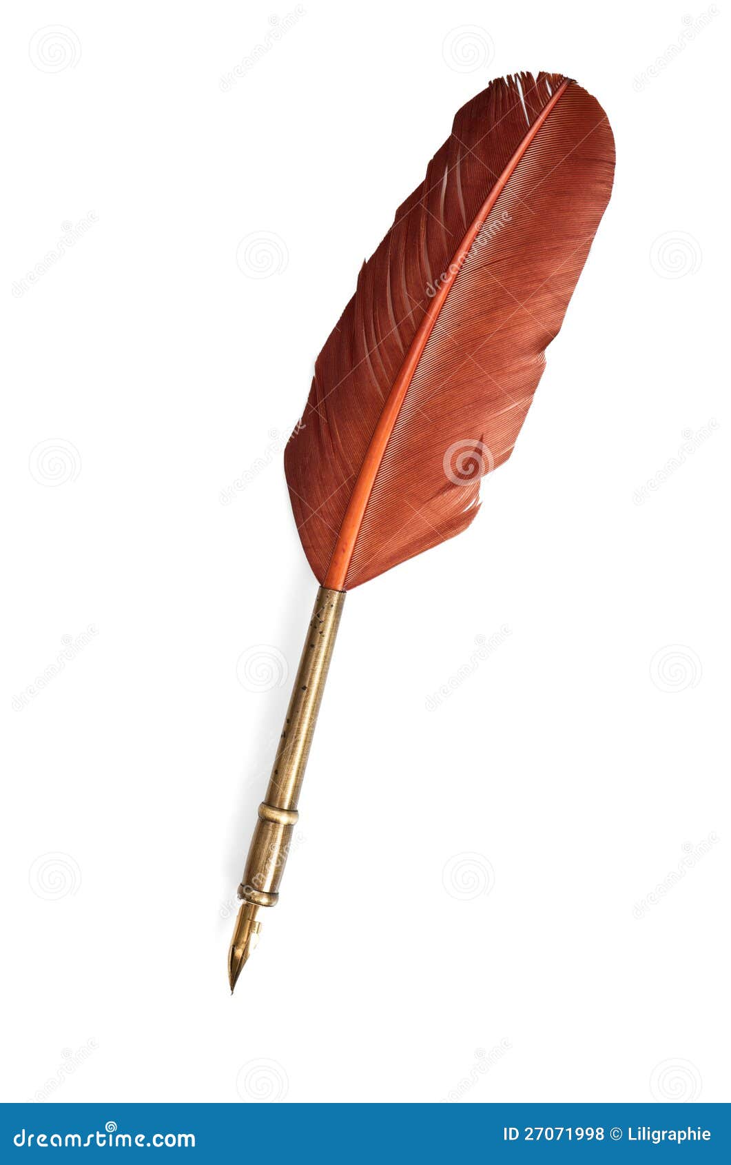 Pena Antiga Da Pena Isolada No Branco Foto de Stock - Imagem de ...